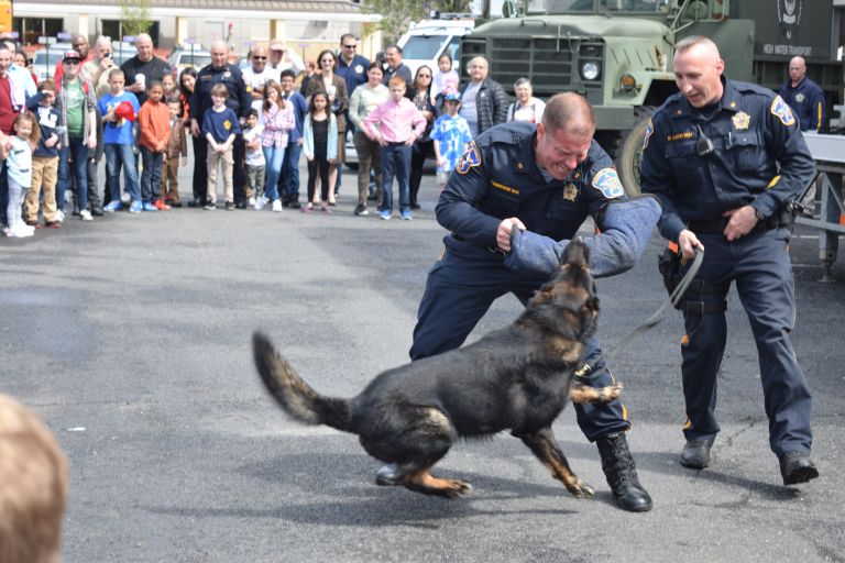 K-9 Unit